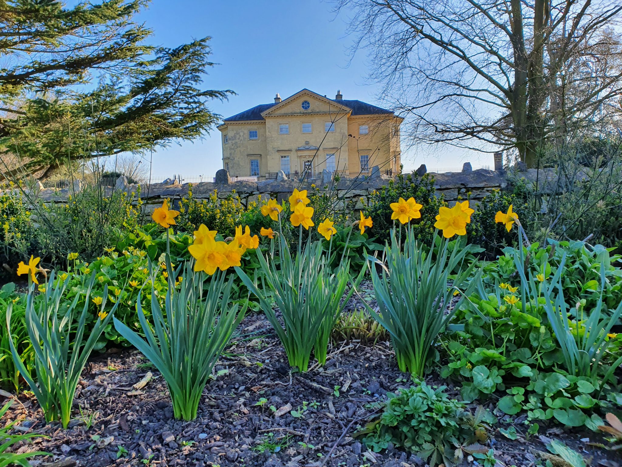 Parks and green spaces | Discover Welling